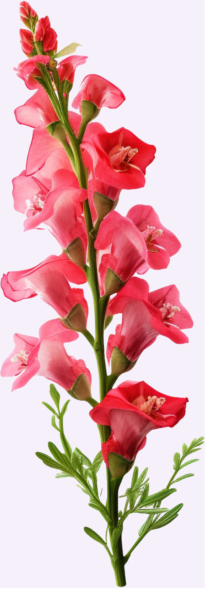 Qualcomm Reveals First Snapdragon X SKUs - XPU.pub